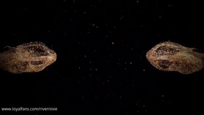 River NixieBelong to Riverbound